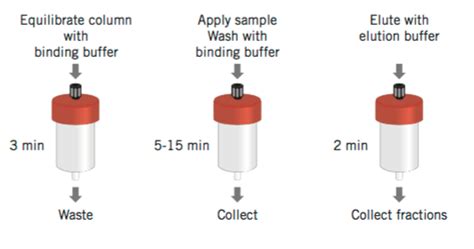 Affinity Chromatography Creative Biostructure