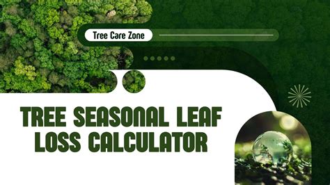 Tree Seasonal Leaf Loss Calculator Estimate Now