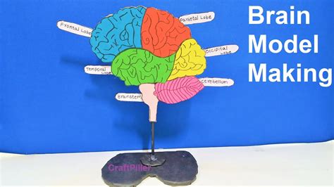 Projects On The Brain