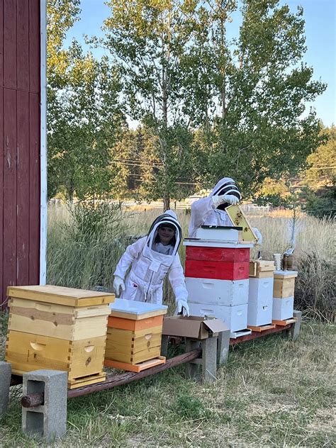 2 Frame Nuc Plans Beekeeping