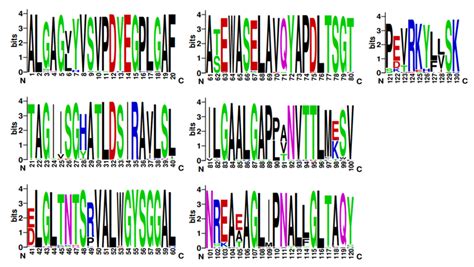 Sequence Display For Secondary Structure Entities In PDB Model ZPX Download Scientific Diagram