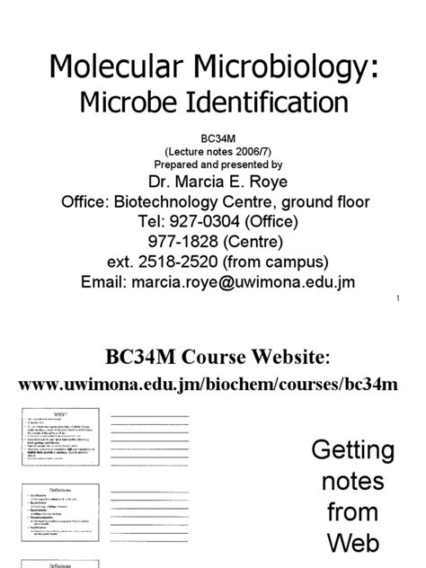 Pdf Microbe Identification 3 Farook Dokumen Tips