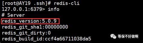 等保20测评 — Redis 数据库 Cn Sec 中文网