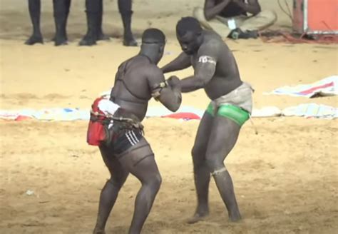 Lutte Amanekh terrasse Thiatou Daouda Fall vidéo