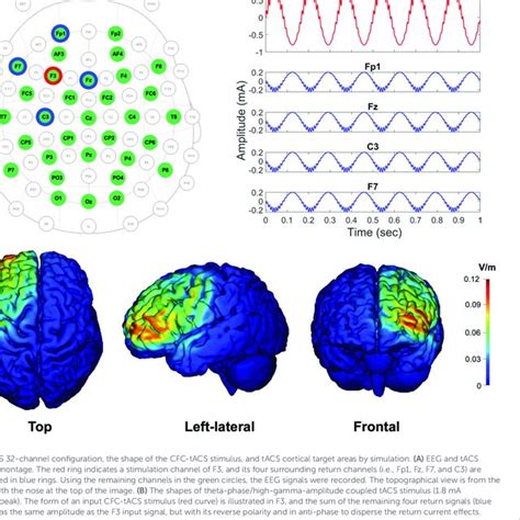 Transcranial Alternating Current Stimulation Tacs Mediated