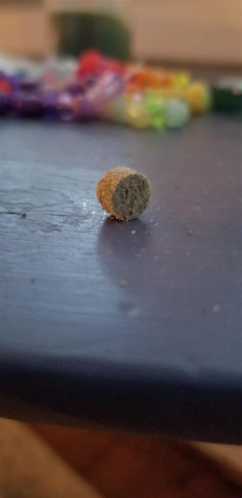 Made A Tiny Kief Puck Rtrees