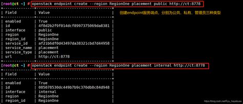 Openstack部署（四、placement）placement组件的基本工作流程 Csdn博客