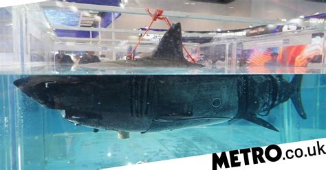 China Unveils Bionic Robot Machine Shark For Use During World War Iii