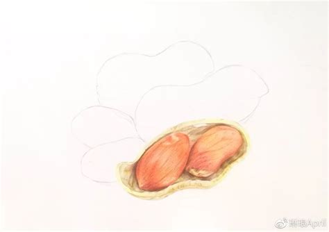彩铅教程 画对花生为过年做做准备 搜狐大视野 搜狐新闻