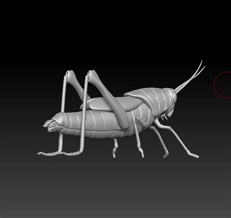 Grasshopper 3d Print Model 3d Model 3d Printable Cgtrader Grasshopper 3d Print Model 3d Model 3d Printable Cgtrader