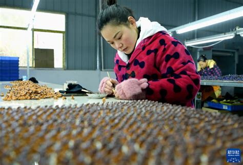 湖北宣恩：外贸企业赶订单 新华网