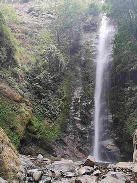 2024莫里热带雨林景区 旅游攻略 门票 地址 问答 游记点评瑞丽旅游旅游景点推荐 去哪儿攻略