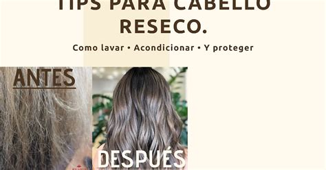 Tips Para Cabello Reseco