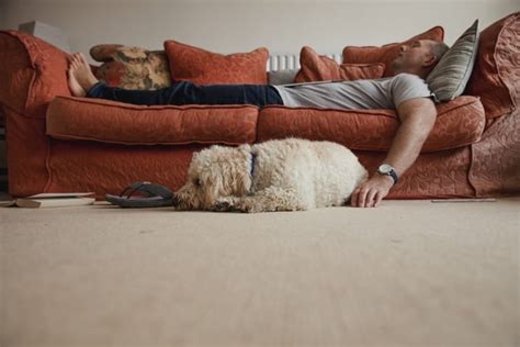 Common Causes Of Lethargy Facty Health