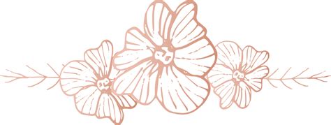 Page 3 Leaf Divider Pngs For Free Download