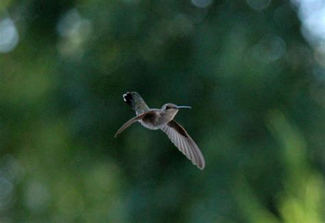 A Year In Review Only 12 Picturesimpossible A P R O N H E A D — Lilly