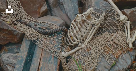 바위 더미 위에 앉아있는 두 개의 해골 사진 Unsplash의 무료 가을 이미지 바위 더미 위에 앉아있는 두 개의 해골 사진 Unsplash의 무료 가을 이미지