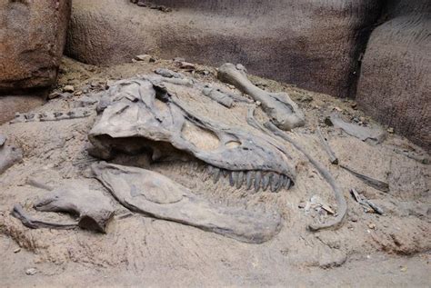 Actualizar 45 Imagem Quando Morreram Os Dinossauros Br Thptnganamst