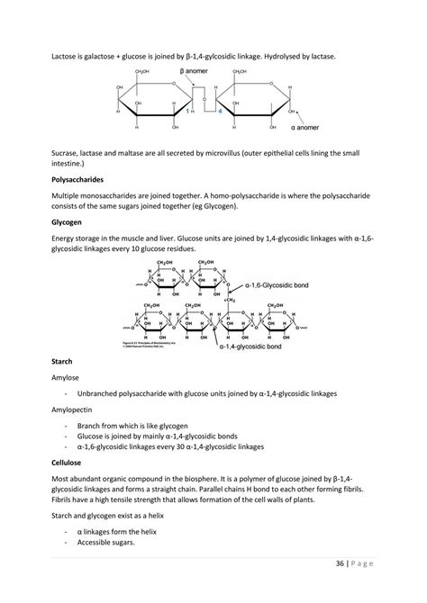Biochemistry Lecture Notes Sle212 Biochemistry Deakin Thinkswap