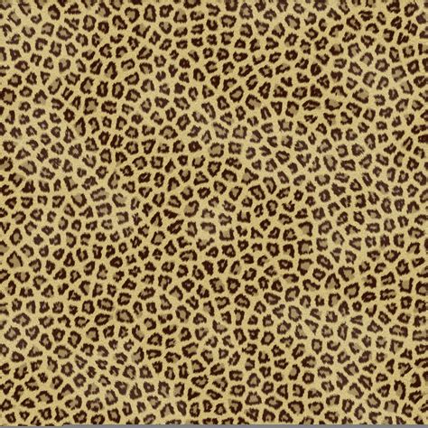 Detail Cheetah Print Desktop Wallpaper Koleksi Nomer 7