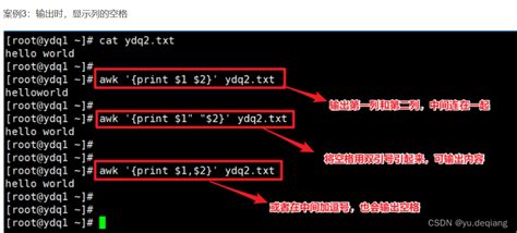 深入理解shell编程：文件描述符、输出重定向与脚本示例 Csdn博客