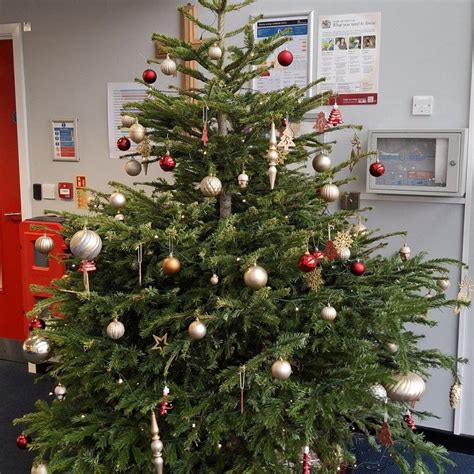 Esher Church Of England High School Esher High School Carol Service