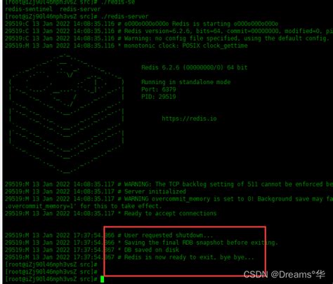 Linux搭建服务器之三：安装redis（linux Redis配置外网访问）redis外部访问 Csdn博客