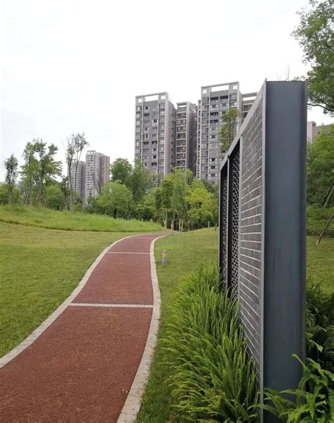 成都公园城市建设之成都高新南区篇 搜狐大视野 搜狐新闻