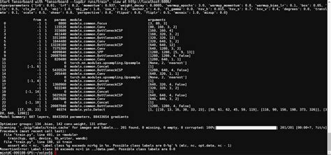 How To Save AssertionError Label Class Exceeds Nc In Data Yaml Possible Class Labels