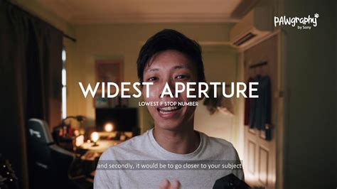 Pawgraphy Tips And Tricks On How To Shoot Your Pet Into Awesome Clips