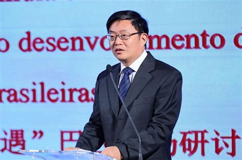 总台中国式现代化与世界新机遇巴西专场研讨会成功举行四川在线