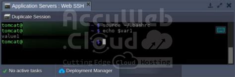 Configure Custom Environment Variables AccuWeb Cloud