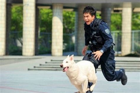戸田恵梨香が語る『dog×police 純白の絆』で共演した市川隼人との“絆”画像710 最新の映画ニュースならmovie