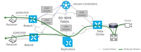 Multicast And Cisco Viptela SDWAN Solution The Network DNA