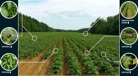 Remote Sensing The Technology Current Use And Future Outlook Spud Smart