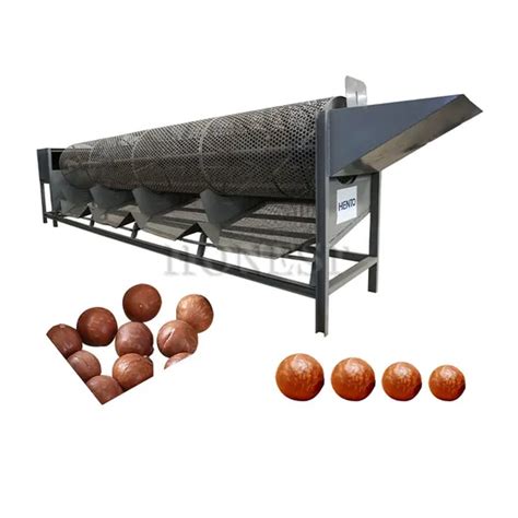 Automatic Nut Sorting Machine Sorting Conveyor Macadamia Nuts Processing Machine Price