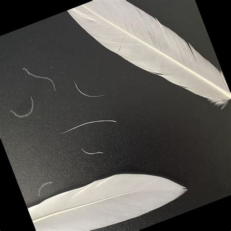 Mix Object Detection Dataset By Personal Workspace