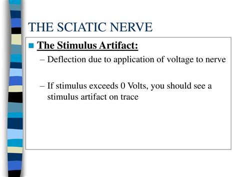 Ppt The Frog Sciatic Nerve Powerpoint Presentation Free Download Id 6789675