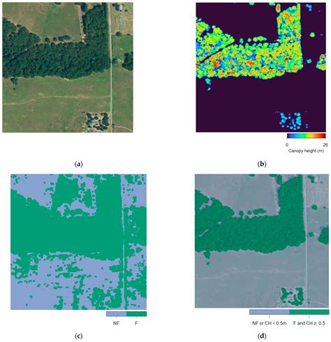 Image To Image Deep Learning For Enhanced Vegetation Height Modeling In