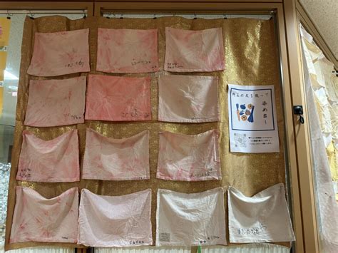 「いただきます」「ごちそうさま」の意味を知る。栄養士による鮭の解体｜亀戸こころ保育園 東京児童協会