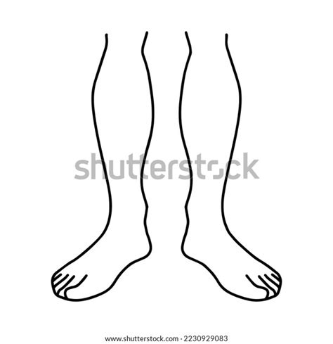 Vector Cartoon Outline Front View Human Stock Vector Royalty Free Shutterstock