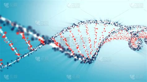 多色的 螺线 脱氧核糖核酸 螺旋 科技 转基因 药 彩色背景 科学实验 遗传研究素材 花瓣网