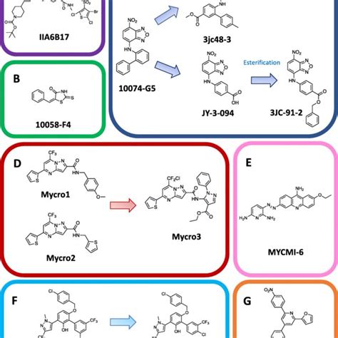 The Structure And Interaction Partners Of C Myc A Crystal Structure Of