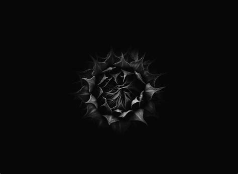 Top 999 Black Android Wallpaper Full Hd 4k Free To Use
