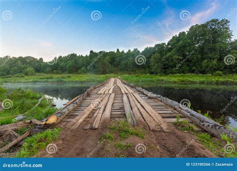 Timber Lorries Trucks Wagons Warning Sign On Road Forest Woodlands