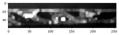 Preventing Leaking Labels Bio Image Analysis Notebooks