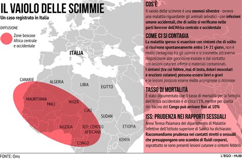 Vaiolo Delle Scimmie Cosè Come Ci Si Ammala E Quali Sono I Sintomi