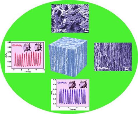基于离子电导率的多尺度层次各向异性水凝胶用于柔性传感器 ACS Applied Polymer Materials X MOL