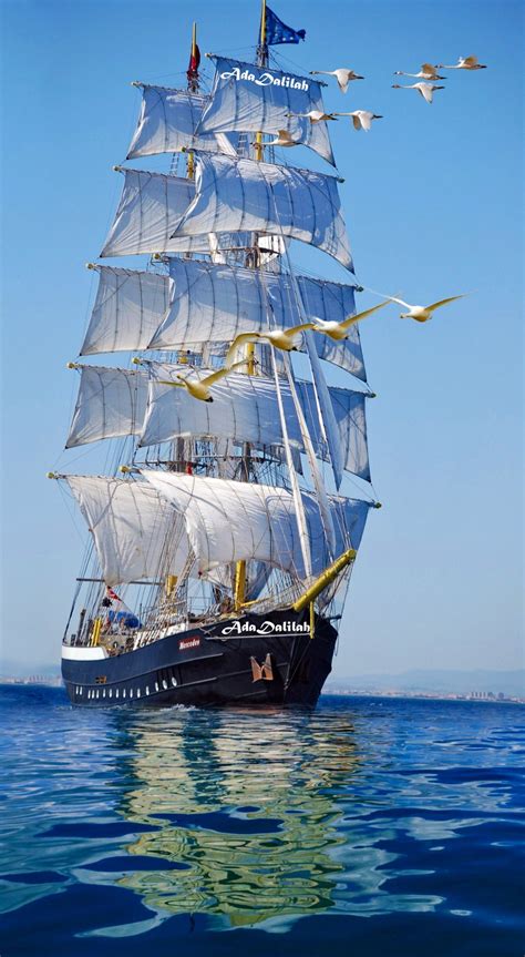 Old Sailing Ships Sailing Boat Ship Drawing Sailing Vessel Boat Art