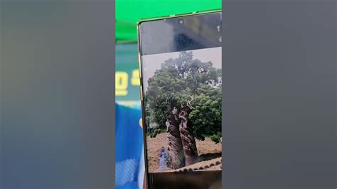 보조국사 지눌 송광사 아론의 싹난 지팡이 쌍향수 Youtube